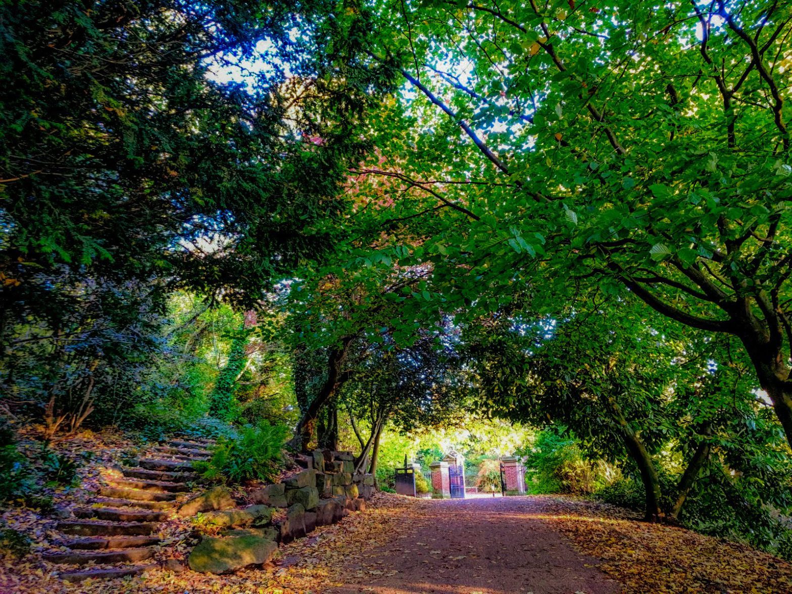 Newcastle's Parks - Newcastle Heritage